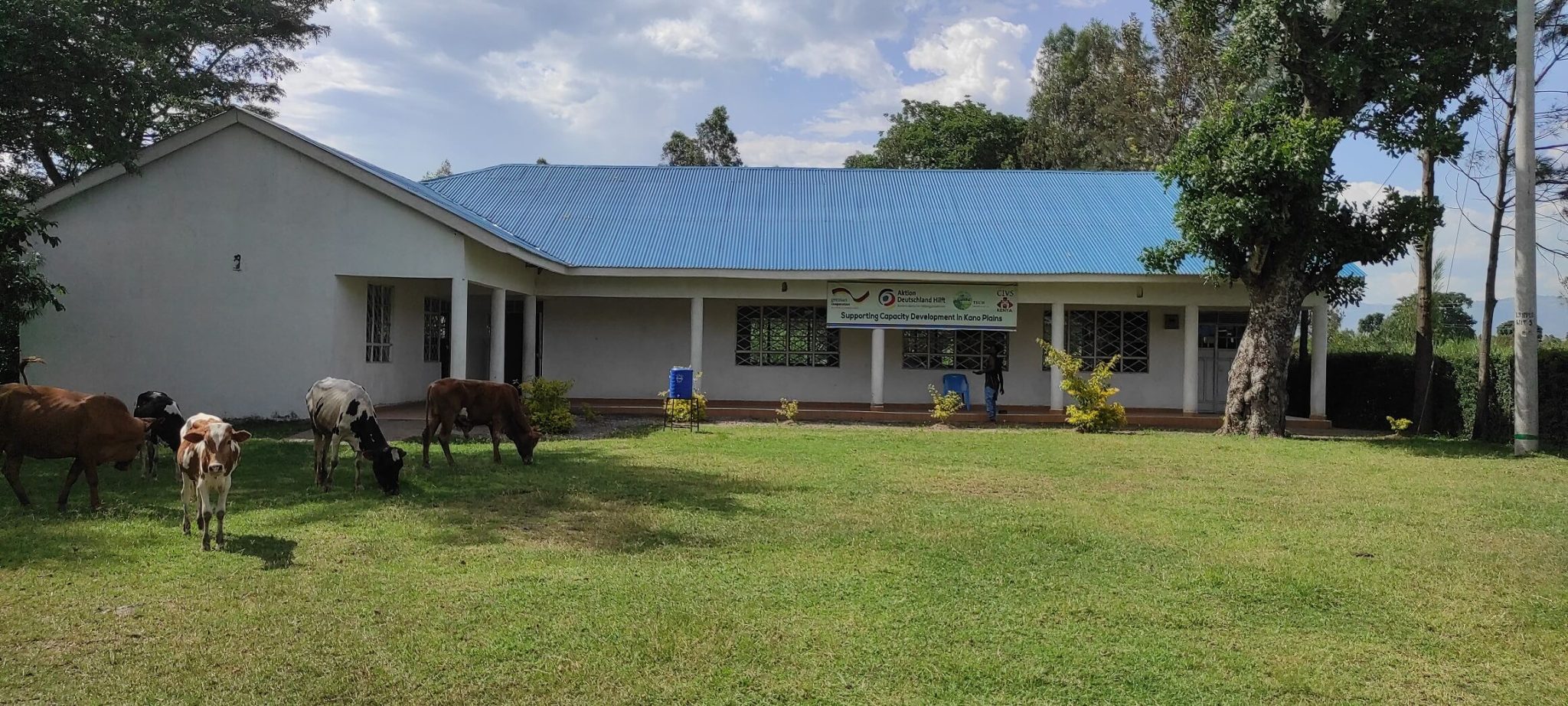 Strengthening Communities and Connecting People | News